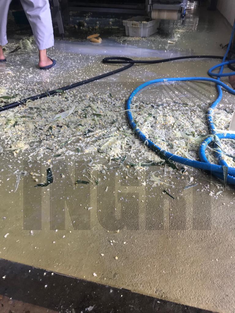 Кубанский консервный комбинат: промышленные наливные полы от компании INGRI